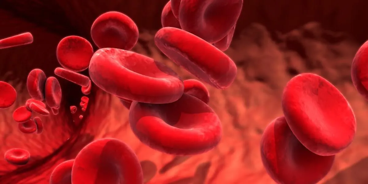 ALEXION SUFFERS DEFEAT OVER SOLIRIS PATENT AT UK HIGH COURT - Provimarcas